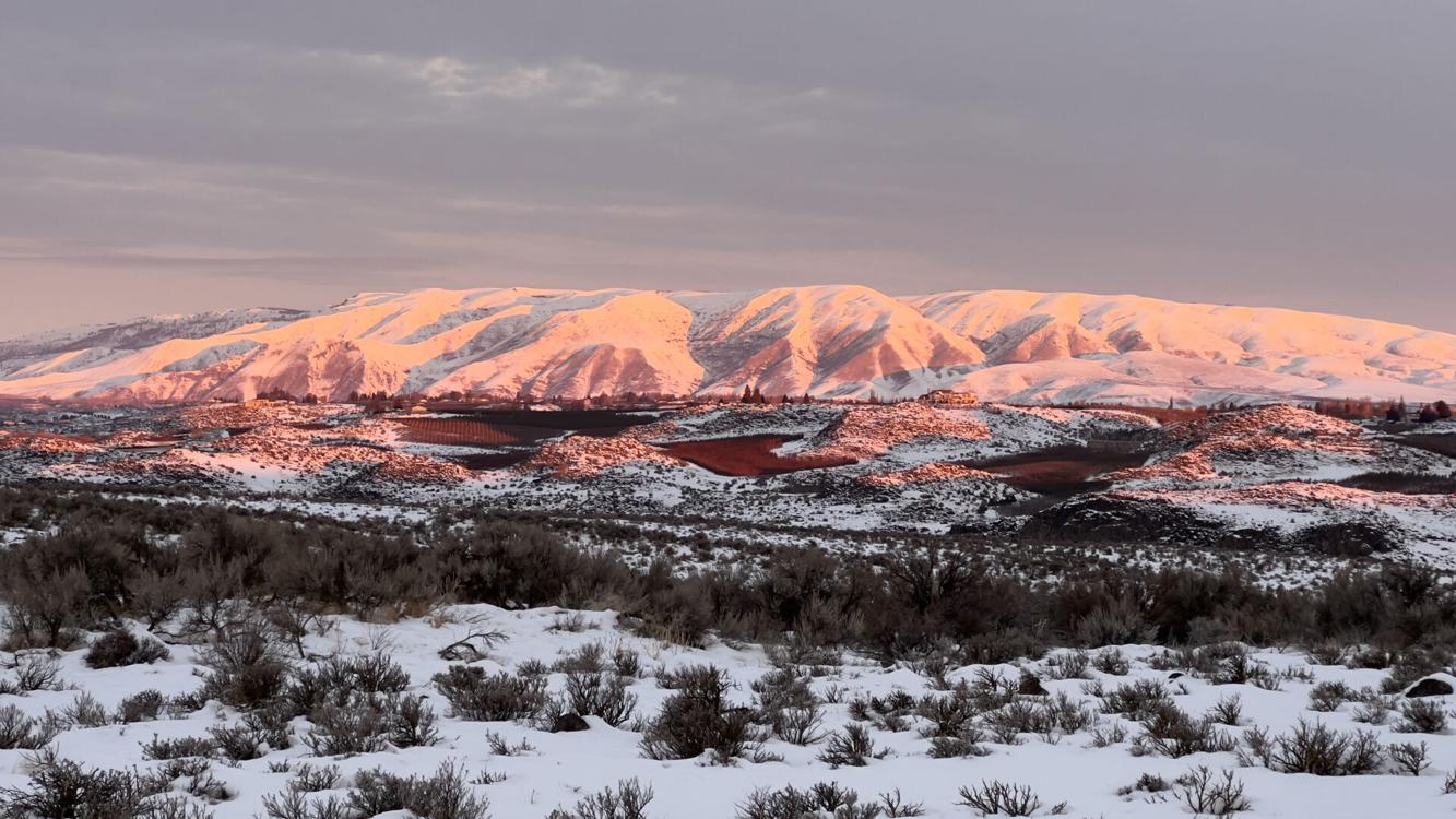 Outdoors notes: Cowiche Canyon Conservancy reopens trails closed due to ...