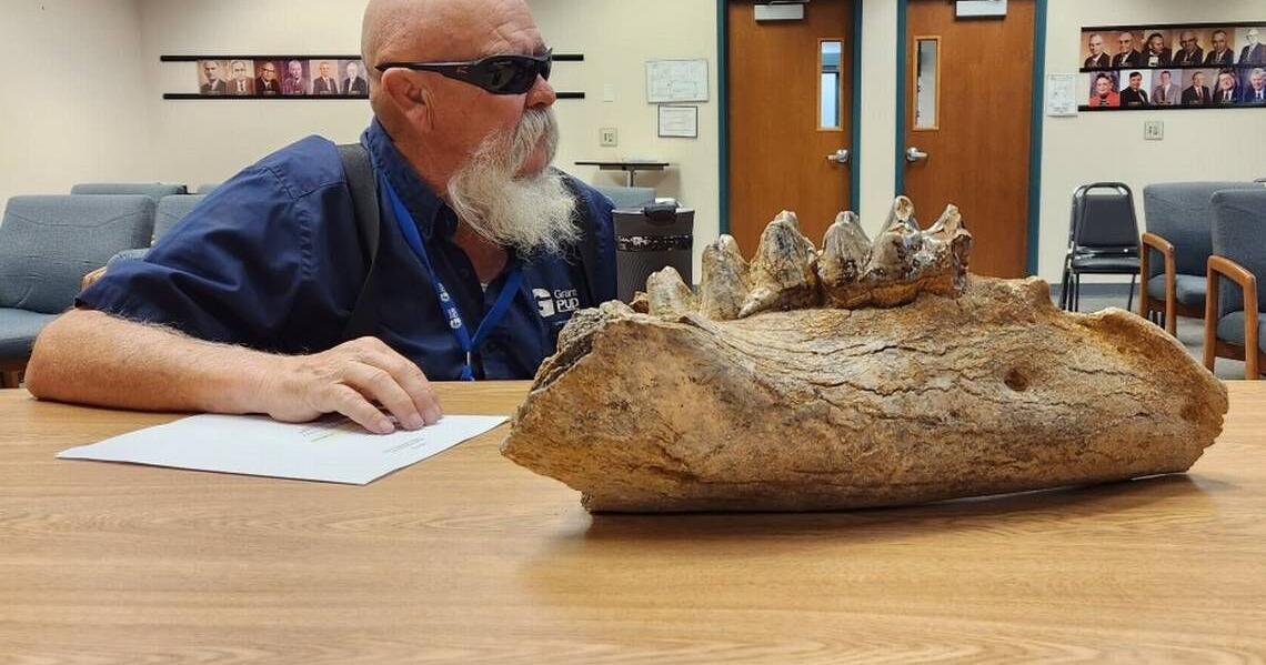 Dog finds 6 million-year-old mastodon bone at Hanford | Northwest ...