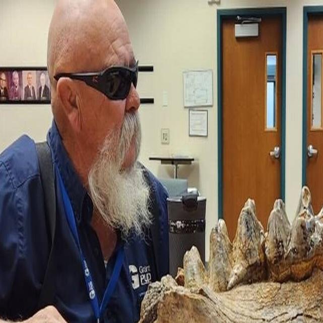 beard artifact orders