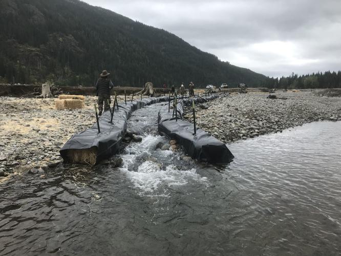 Drought watch: Cooler summer helped fish during drought | Local ...