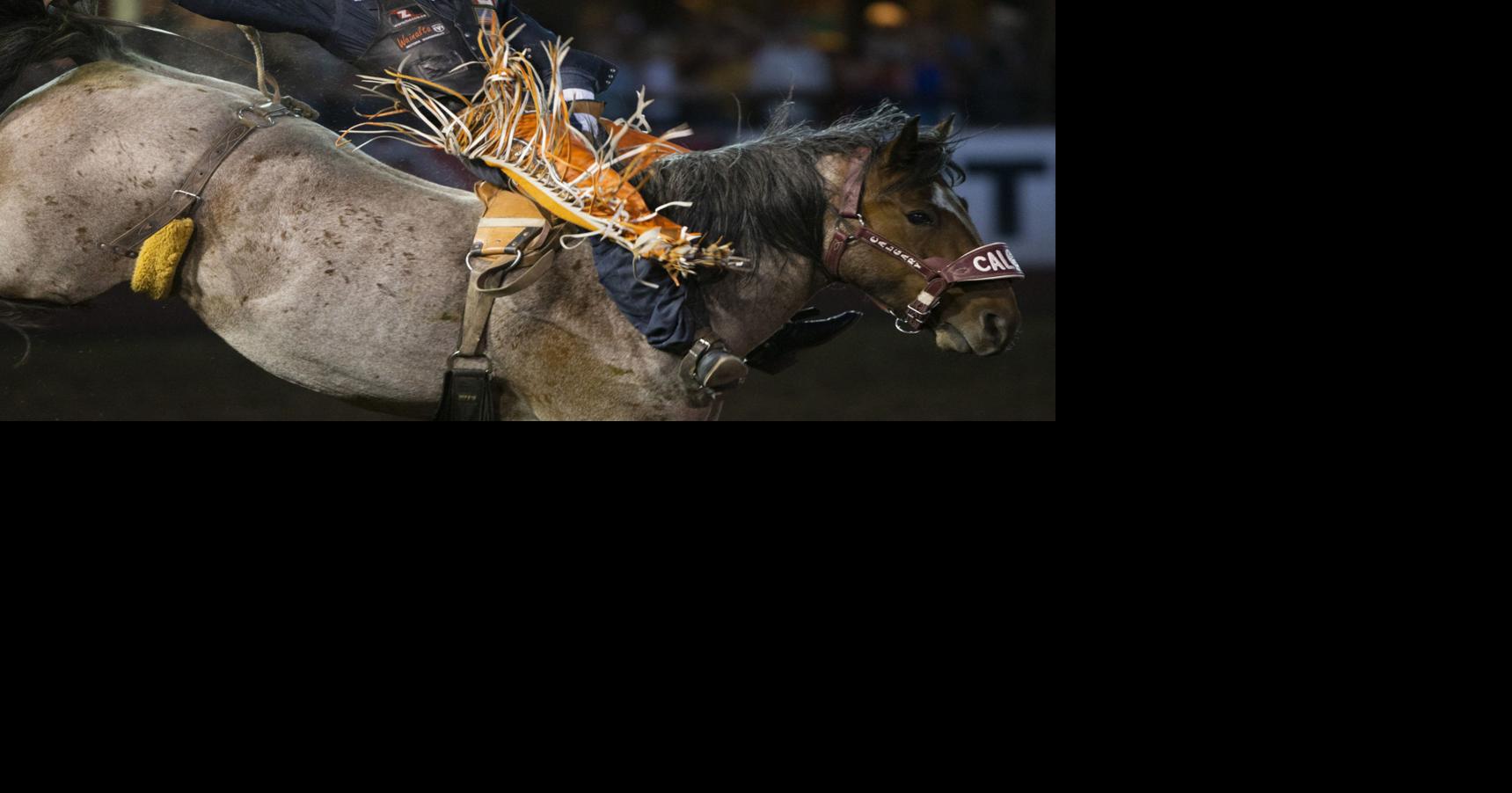 Ellensburg Rodeo is moving ahead full bore | Northwest | yakimaherald.com