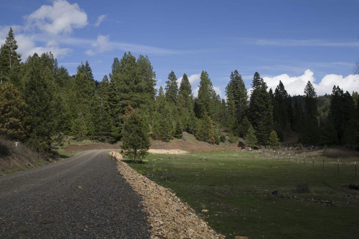 Teanaway Community Forest recreation plan almost finished | Local ...