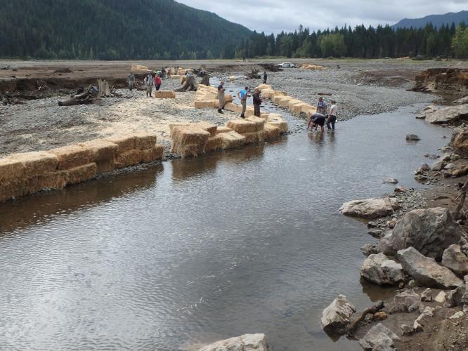 Drought watch: Cooler summer helped fish during drought | Local ...