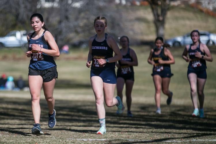 CROSS COUNTRY: 47th annual Sunfair Invitational | Photos and Videos ...