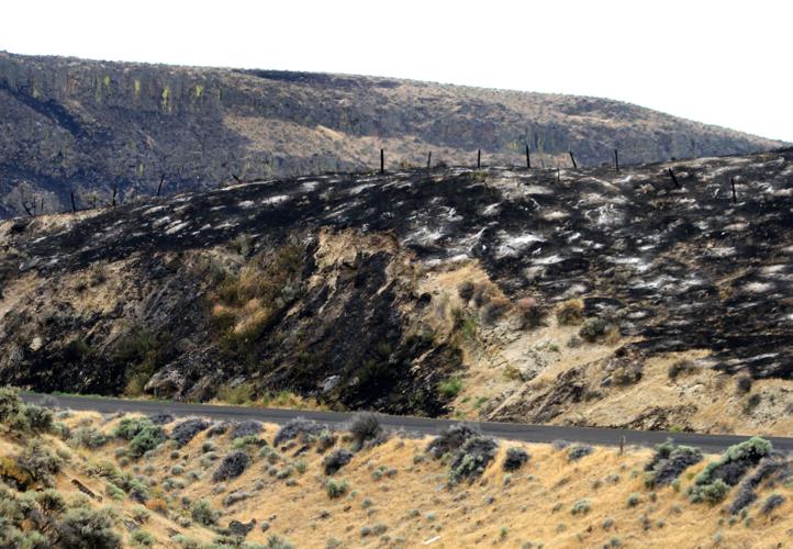 Evacuation orders lifted as Milepost 22 fire near Vantage reaches 50 ...