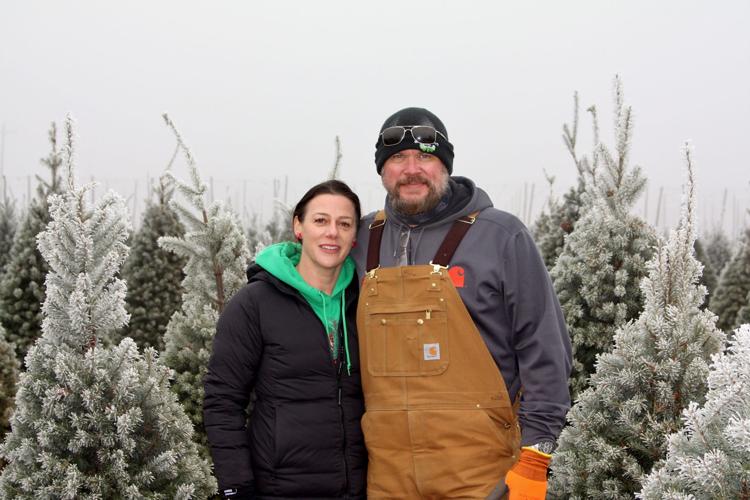 Popularity of customer-cut Christmas trees brought an early end to ...