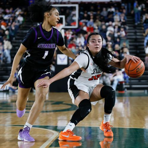 State basketball: Davis girls overwhelm Sumner on way to winning back ...