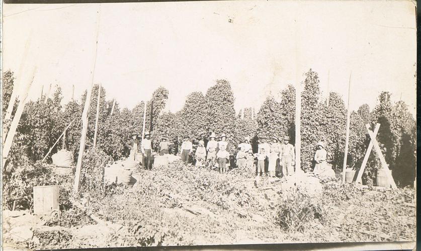 Region's beers are rooted in the Yakima Valley's historic hops industry ...