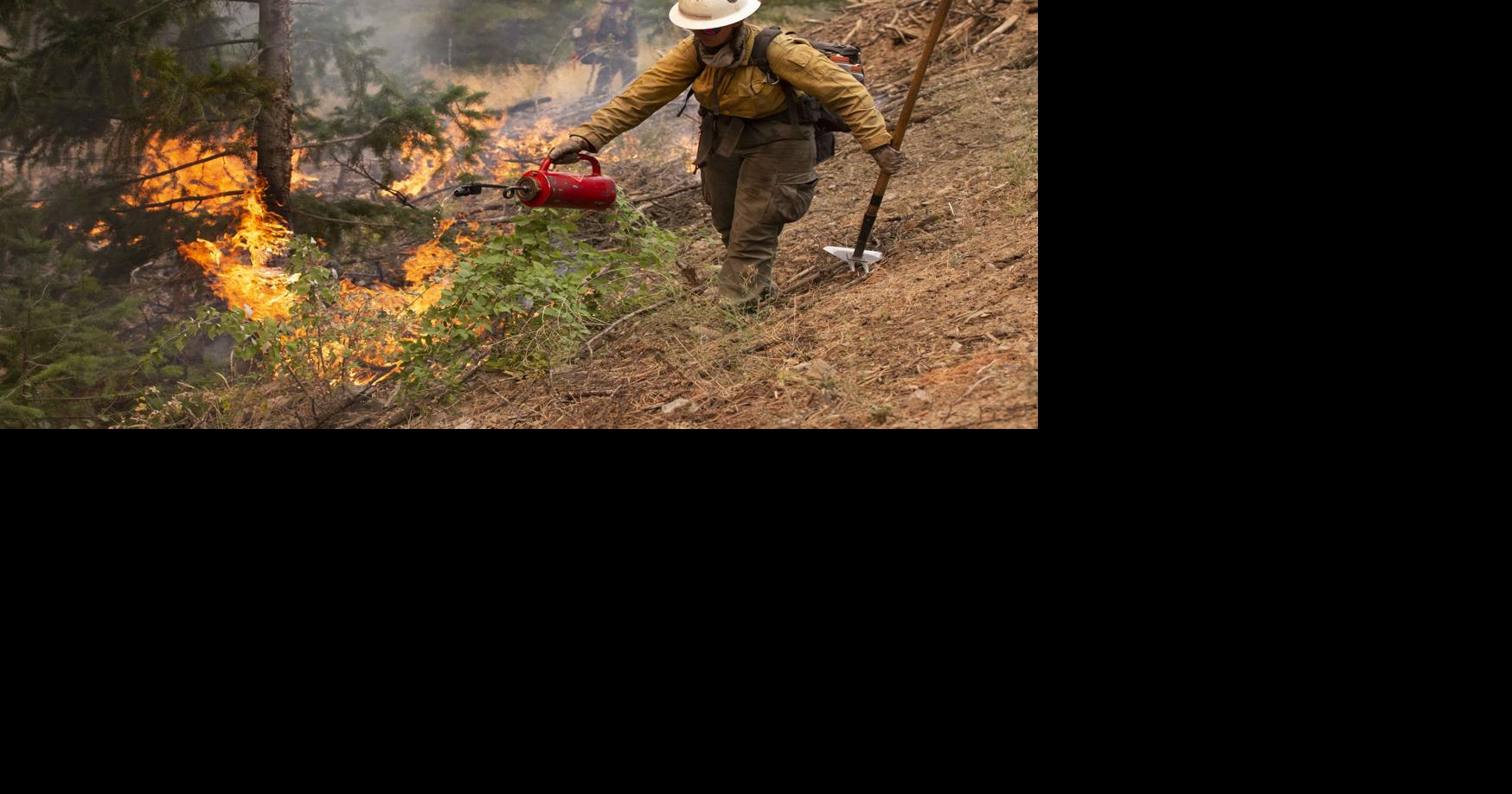 Experts call for expanded wildfire prevention tactics as fire seasons ...