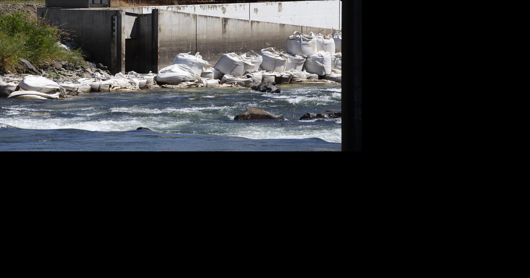 Project site along Naches River can no longer be called the Nelson Dam ...