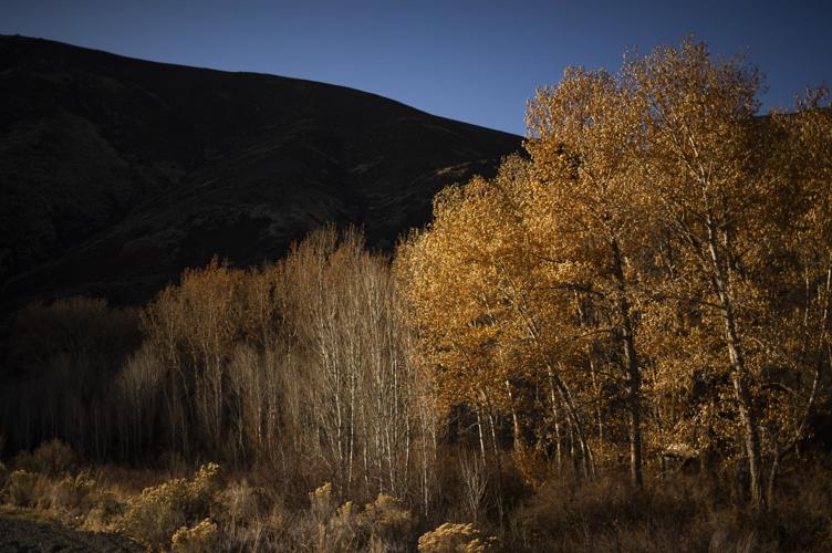 Photos: Fall foliage in Yakima County | Photos and Videos ...