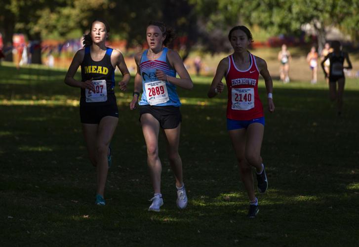 PHOTOS: Runners compete in Sunfair Invitational at Franklin Park in ...