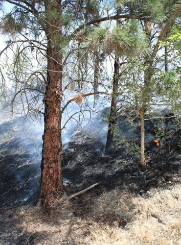Old Naches Highway fire at 75% containment, control expected by ...