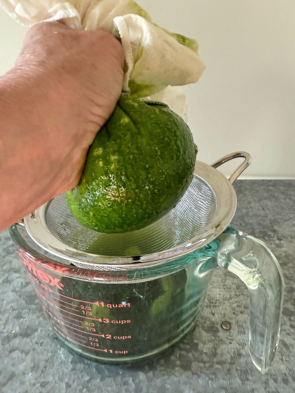 Paint with the sun, spinach to create a garden of anthotypes ...