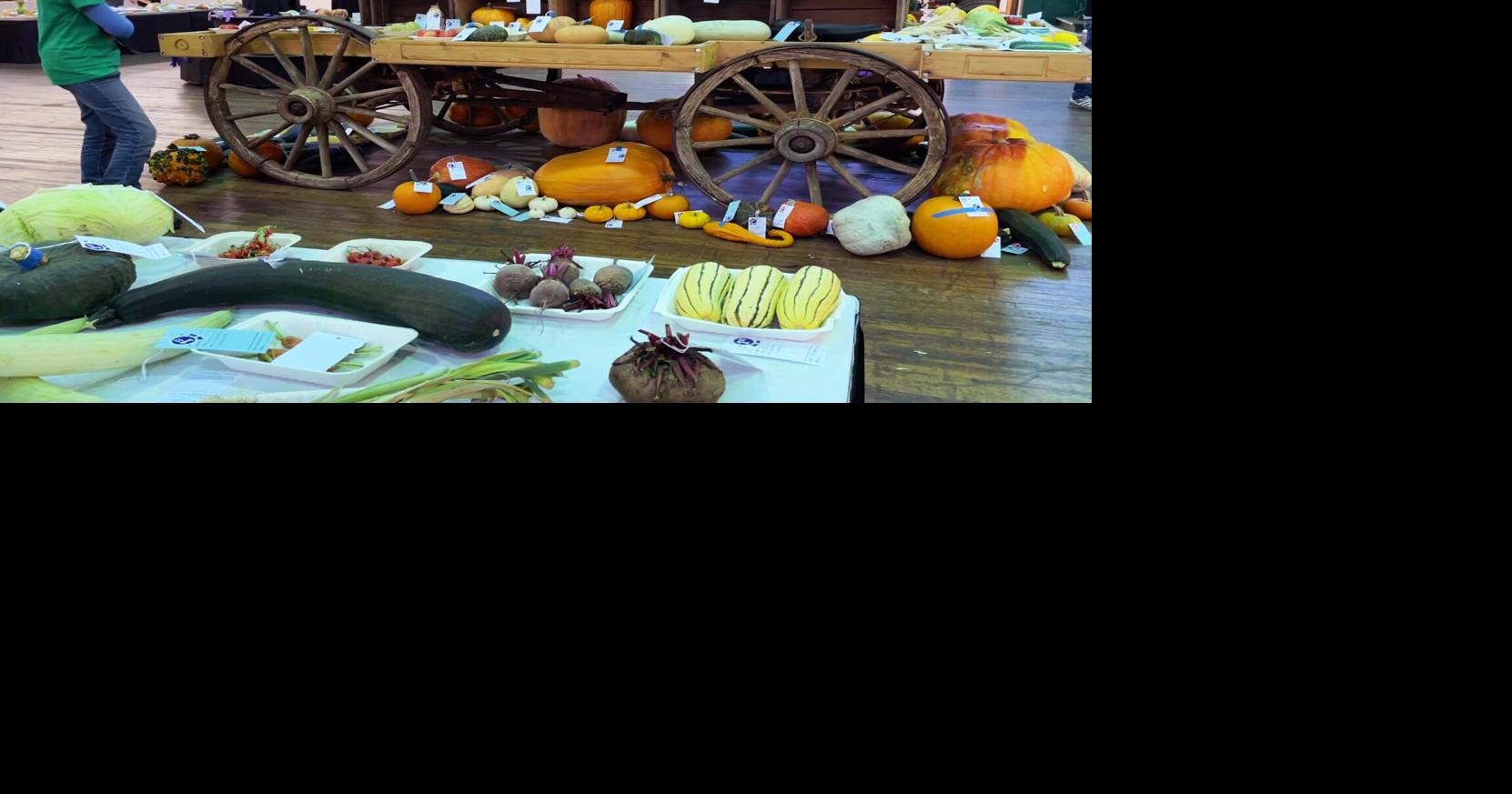 PHOTOS: Central Washington State Fair 2023 | Photos and Videos ...