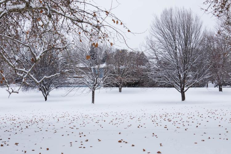 PHOTOS: Yakima Valley residents work and play as snow blankets area ...