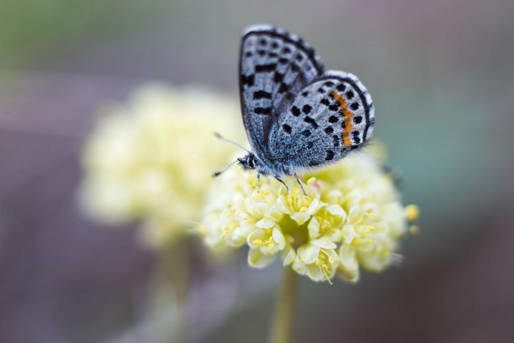 Four fall hikes for families in Central Washington | Explore Yakima ...