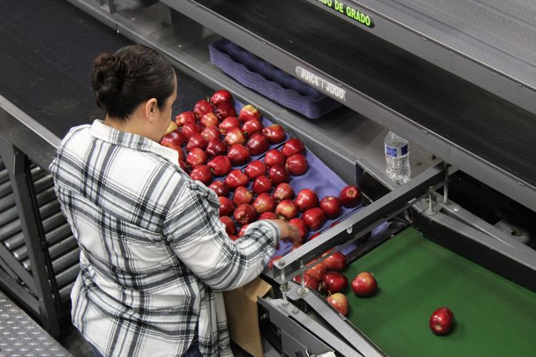 Even after 2 years of drought, Central WA's Roza Irrigation District ...