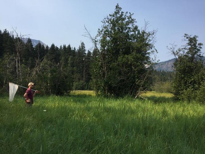 Wandering Central Washington: Wetlands — so much more than just wet ...