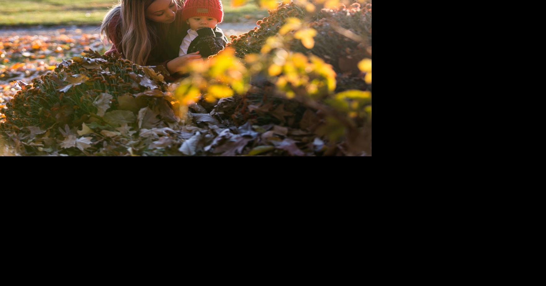 Photos: Vibrant autumn shades of Yakima’s Arboretum | Photos and Videos ...