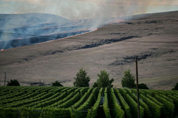 Photos: Brush fire in Selah | Local | yakimaherald.com