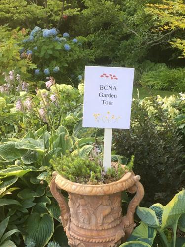 Barany in the Garden: Let's get garden walking | Explore Yakima ...