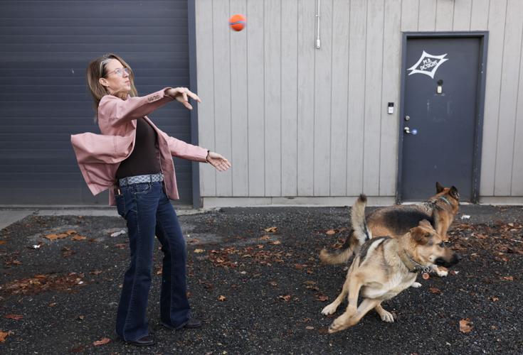 microsoft dog policy