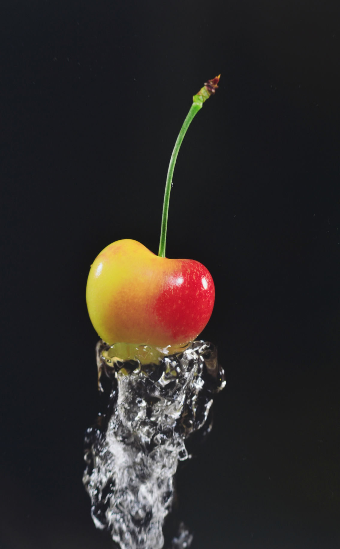 Long Exposure: Ernie Duncan’s Journey from Click to Brushstroke | Art ...