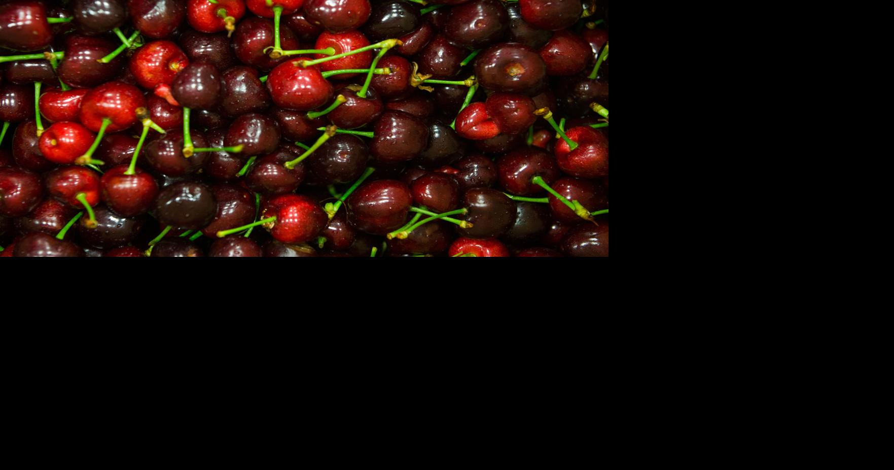 The wait is over: Northwest cherries are here | Local | yakimaherald.com