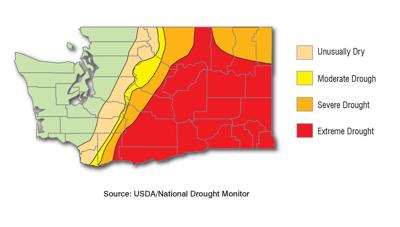 Yakima Valley needs more snow to conquer drought | Local | yakimaherald.com