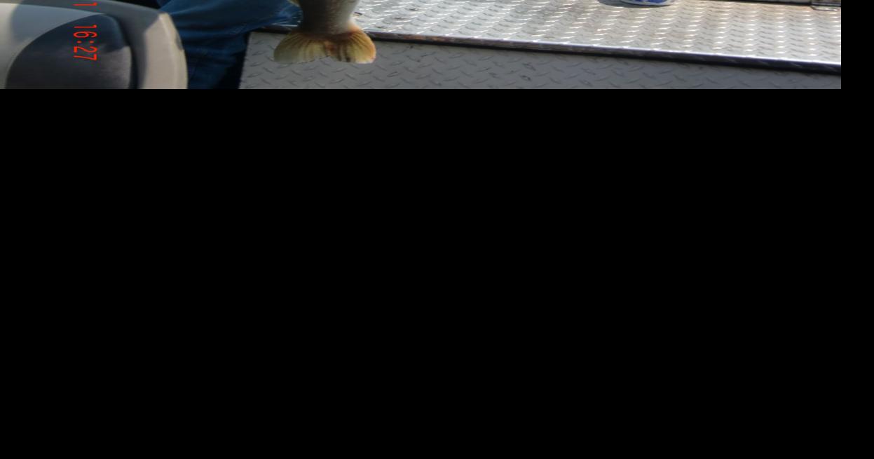 Gary Allan Rowland | Test | yakimaherald.com