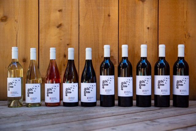 Wine Scene: Chance and preparation meet at Fortuity Cellars | Food And ...
