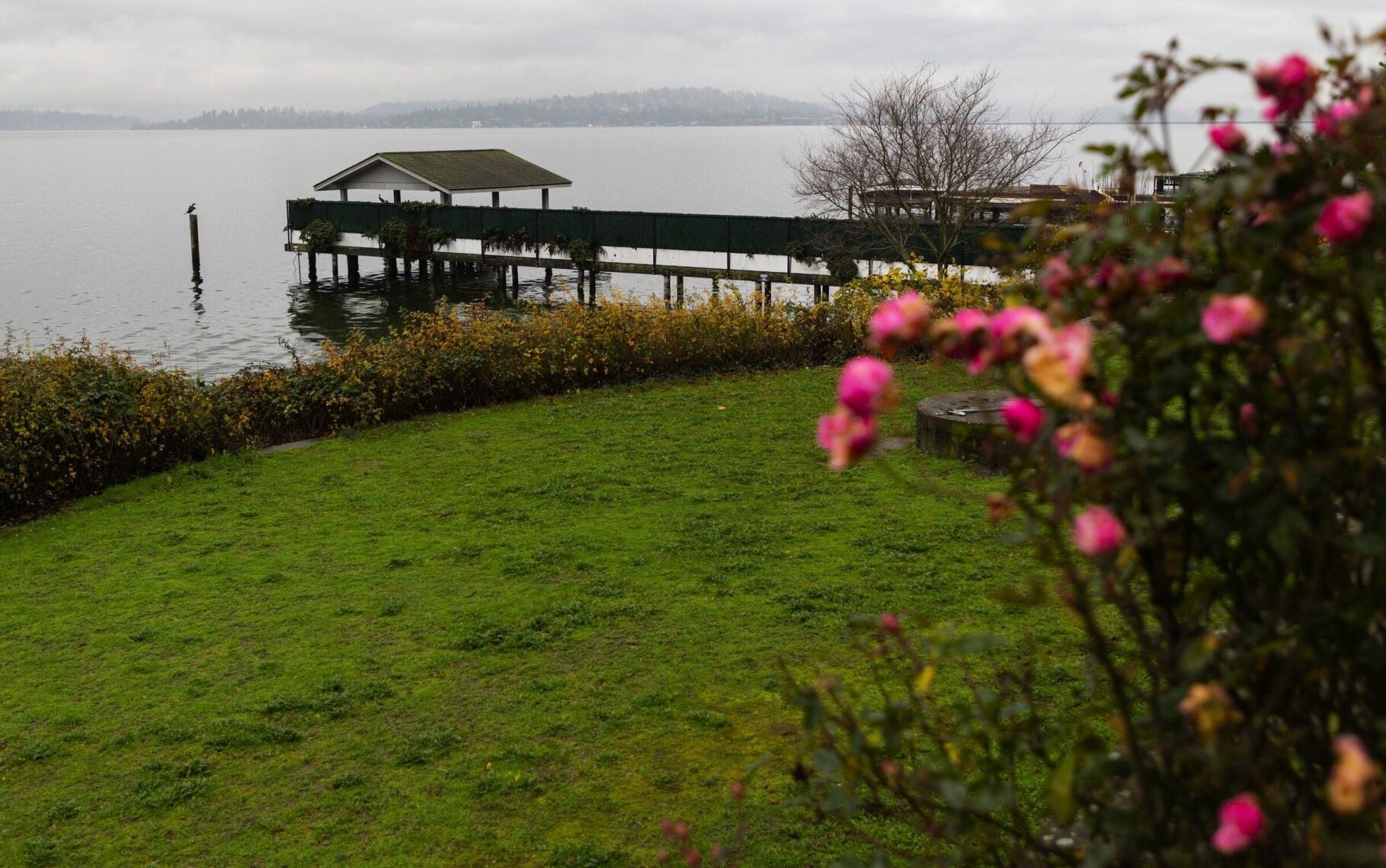 Judge to decide fate of Seattle’s unofficial nude beach | Northwest ...