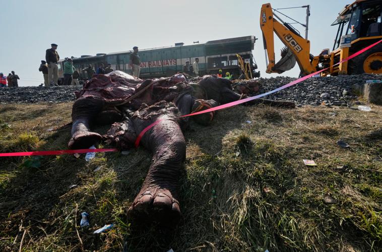 High-speed passenger train kills 7 elephants crossing railway tracks in ...