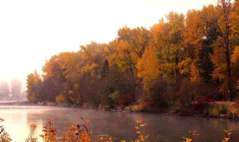 Fall colors burst across the Yakima Valley | News Photos | yakimaherald.com