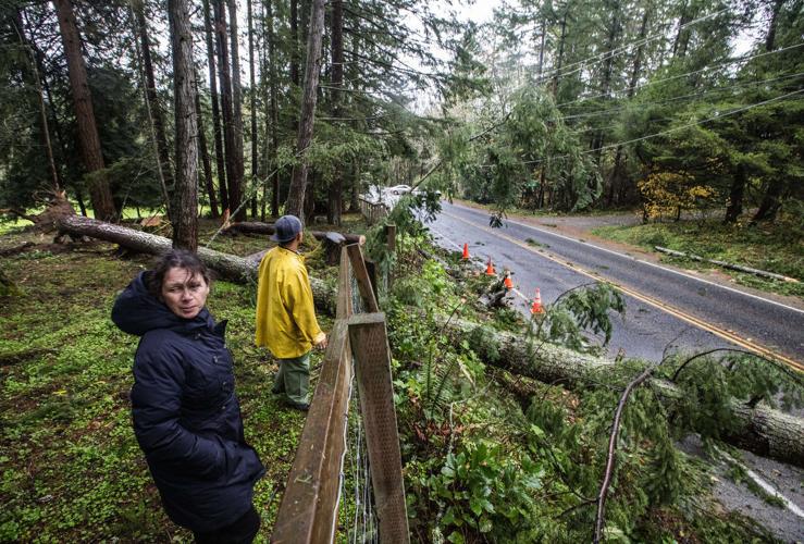 Wind storm wreaks havoc in Yakima Valley and across Washington | News ...