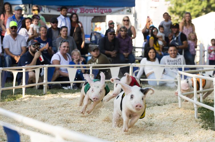 Central Washington State Fair sees good attendance, record spending in ...