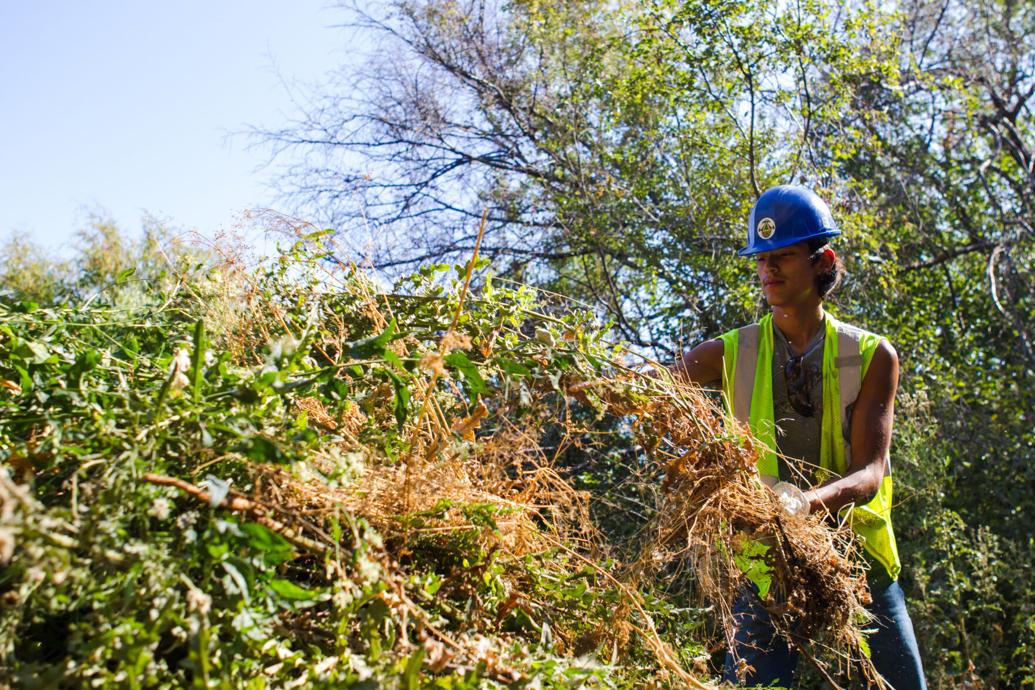 Young people get experience through Yakama Forest Products' summer program | Lower Valley ...