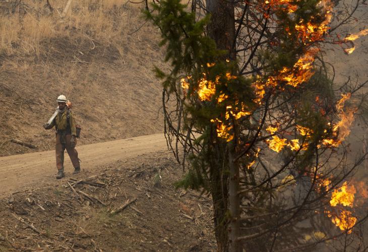 Schneider Springs Fire burning northwest of Naches engulfs another 2K ...