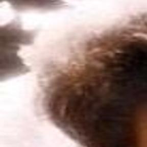 Carol Baughman's Instagram, Twitter & Facebook on IDCrawl