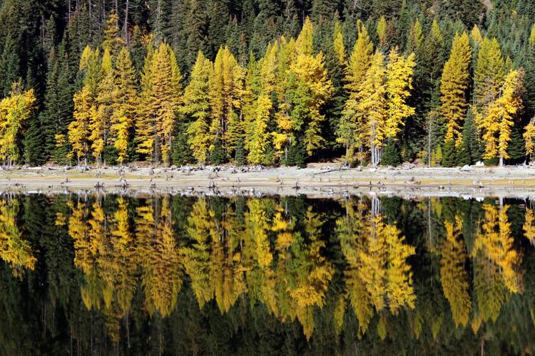 Fall colors burst across the Yakima Valley | News Photos | yakimaherald.com