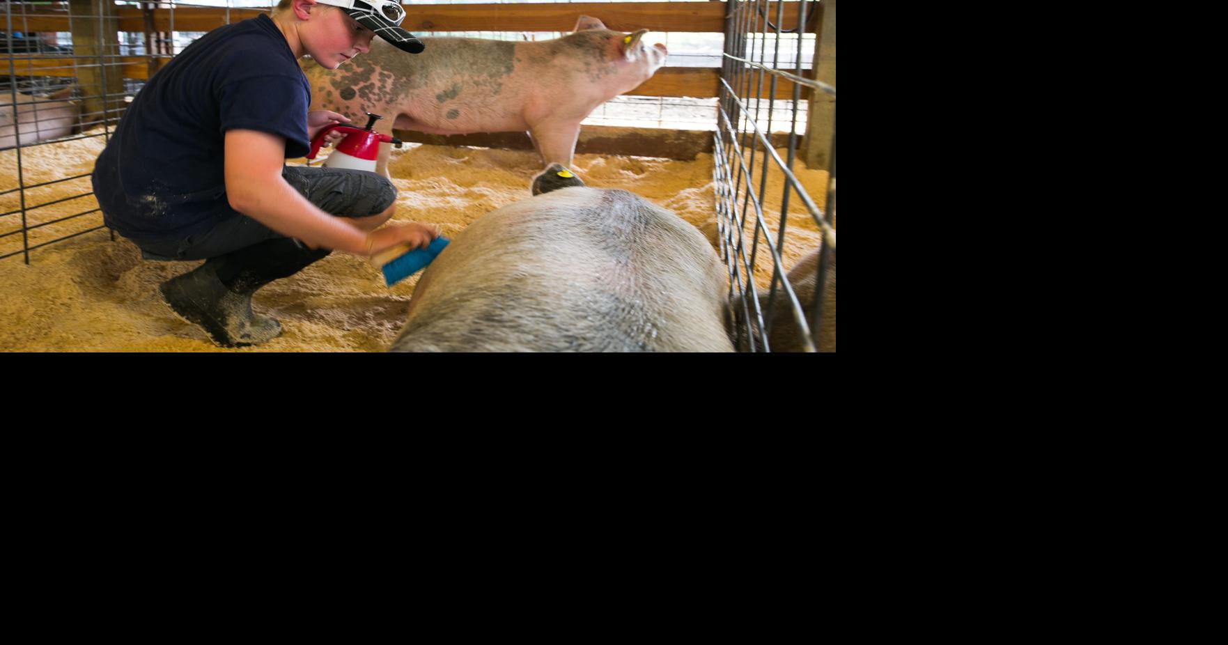 West Valley Fair offers 'Buckets of Fun' this weekend in Wiley City ...