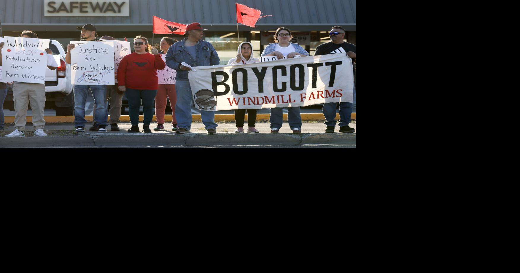 Farmworkers protest at WA grocery stores as part of Windmill mushroom ...