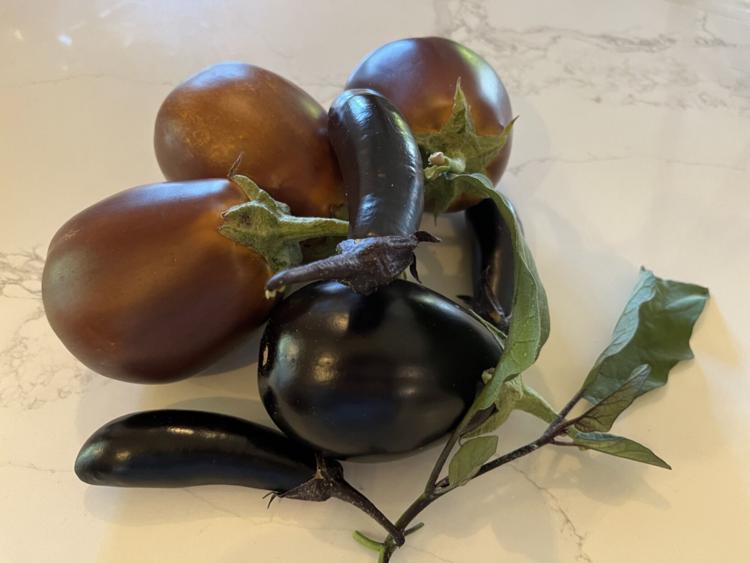 Barany In the Garden: Eggplants aren’t quite what you think they are ...