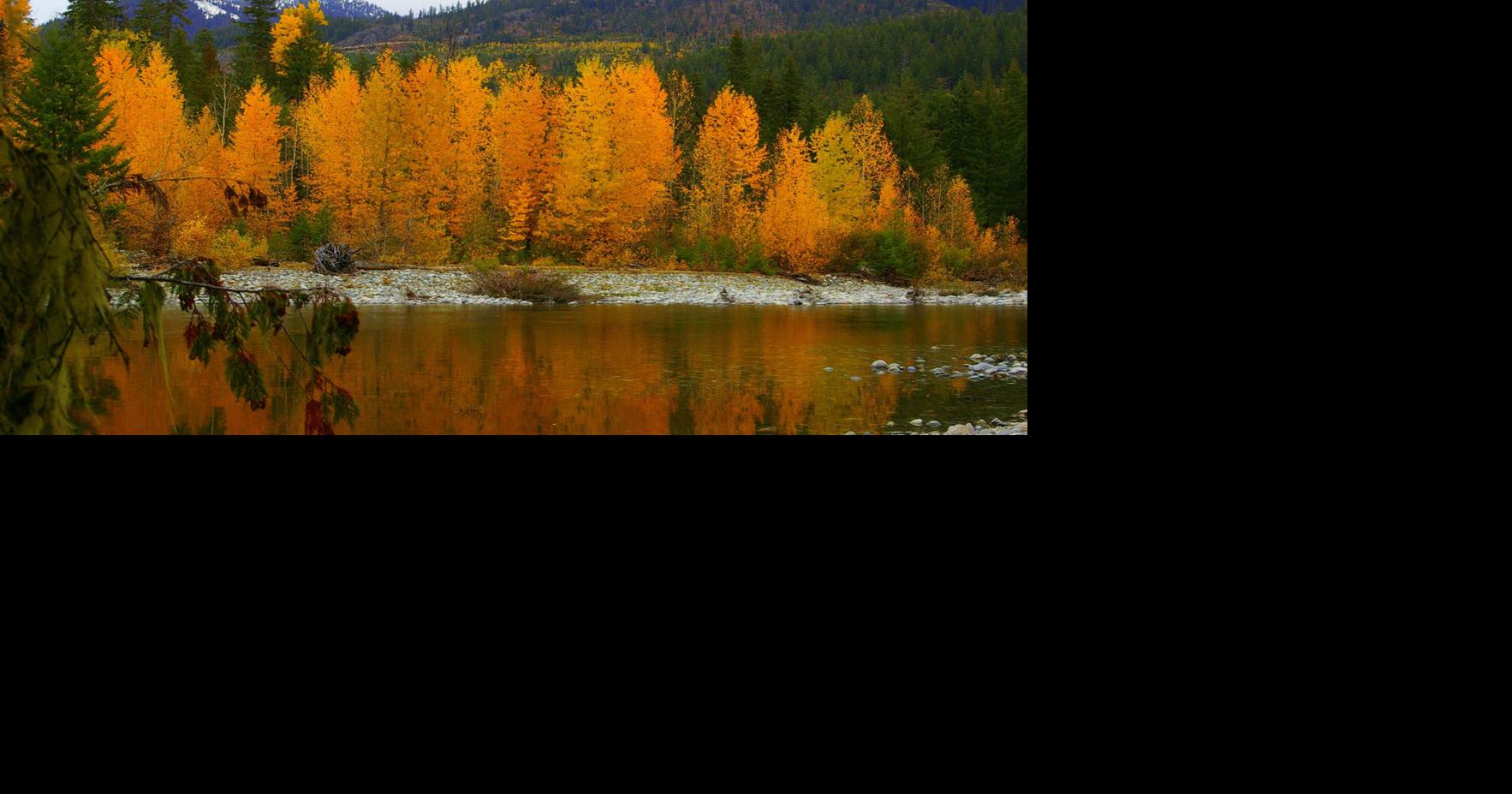 Fall colors burst across the Yakima Valley | News Photos | yakimaherald.com
