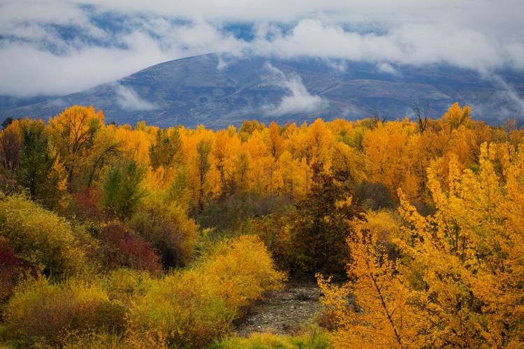 Photos: Autumn falls on the Yakima Valley | News Photos | yakimaherald.com