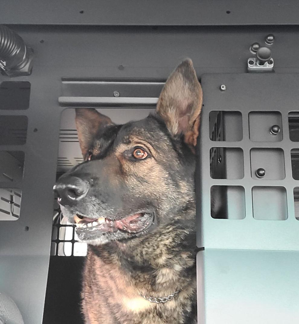 Yakima County corrections staff enlists dog to combat drugs in county ...