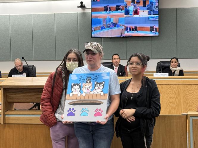 Local officials all ears on solutions to solve stray animal problem in ...