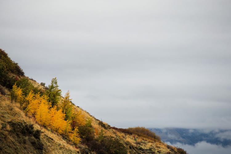 Photos: Autumn falls on the Yakima Valley | News Photos | yakimaherald.com