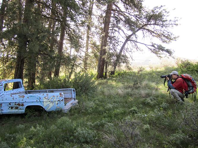 View finder: Alan Bauer has a passion for nature photography | Outdoors ...